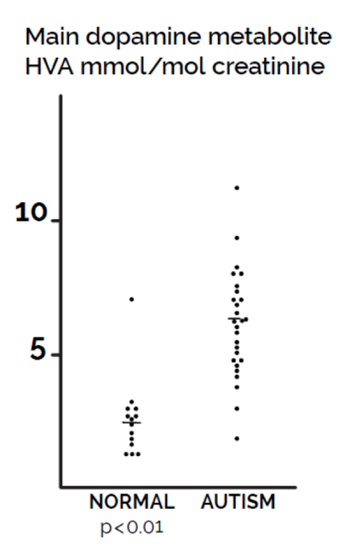 Dopamine Excess and/or Norepinephrine and Epinephrine Deficiency in ...
