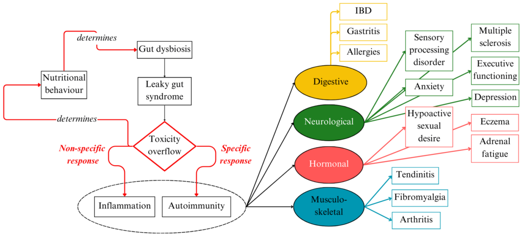 The GAPS Nutritional Protocol As a Dietary Treatment for Inflammatory ...