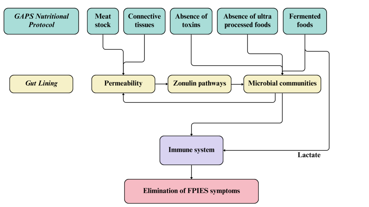 The GAPS Nutritional Protocol: An Efficient Solution for Resolving Food ...